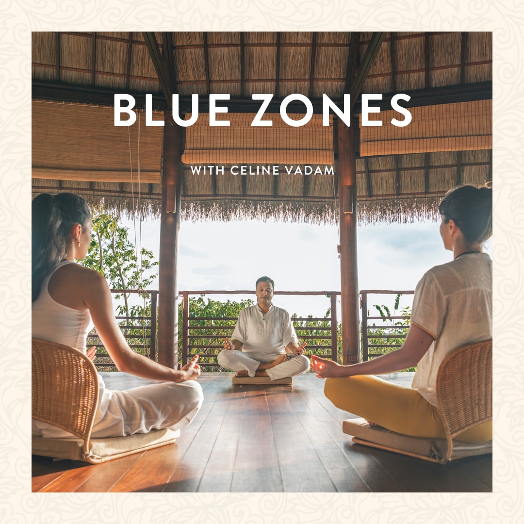 Wellness Programs & Healing Treatments for Body, Mind & Heart